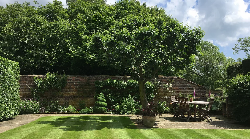 Structured Growth Garden Design