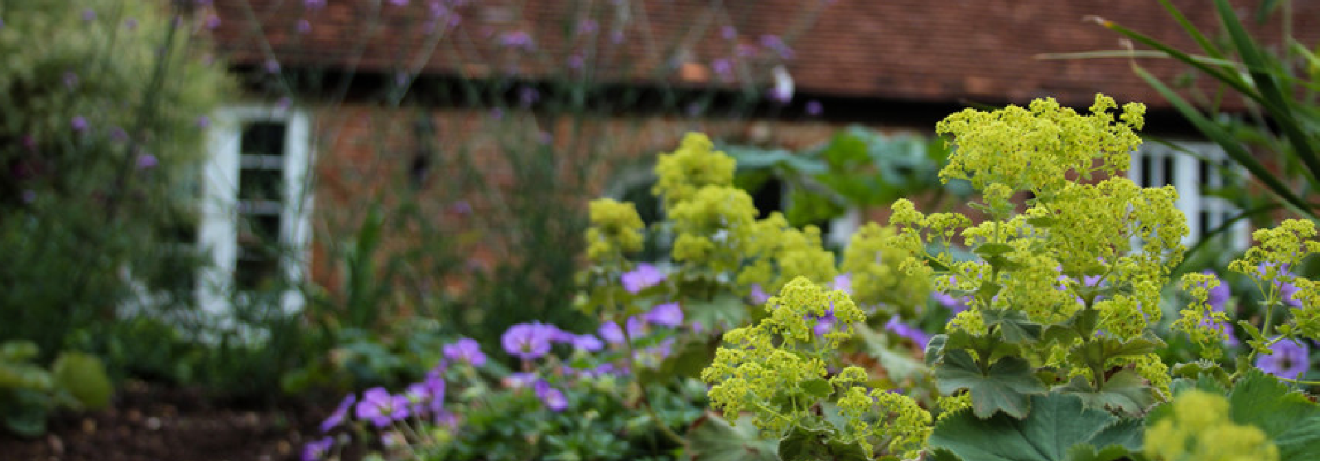 Core Elements - Structured Growth